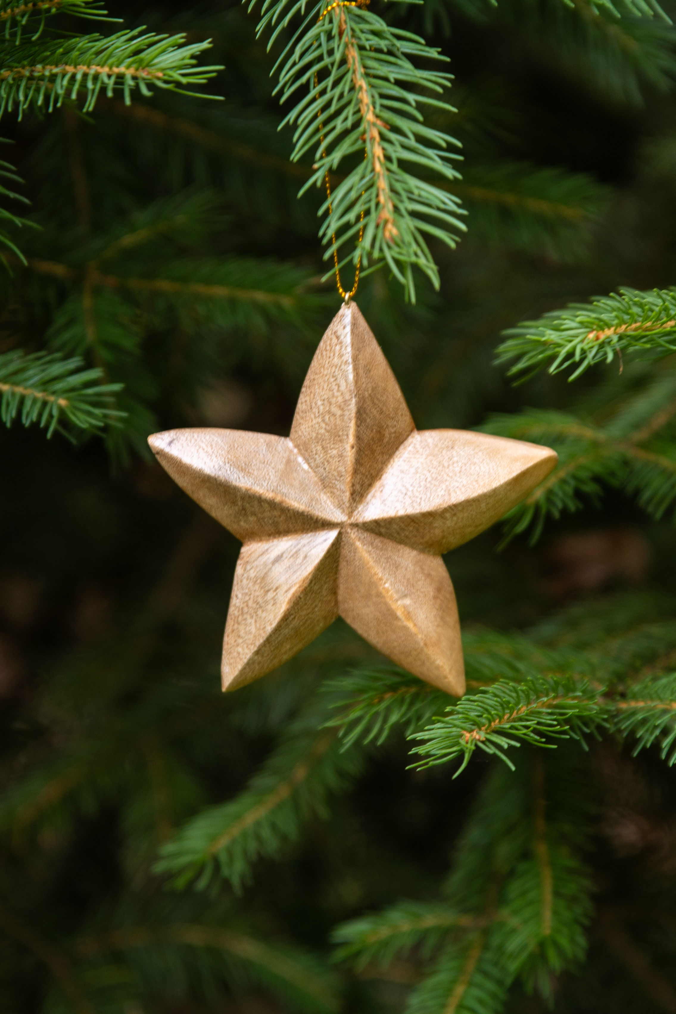 Native Philippine Nativity – Elevita